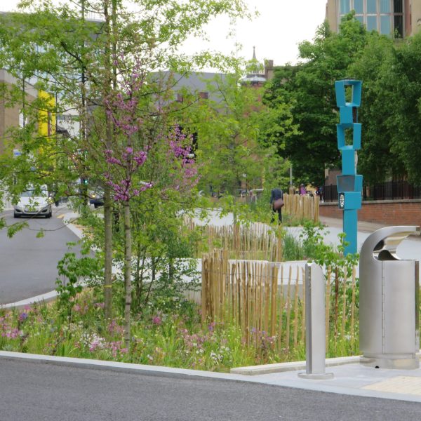 Professional Accreditations Services - Ecotone Biodiversity